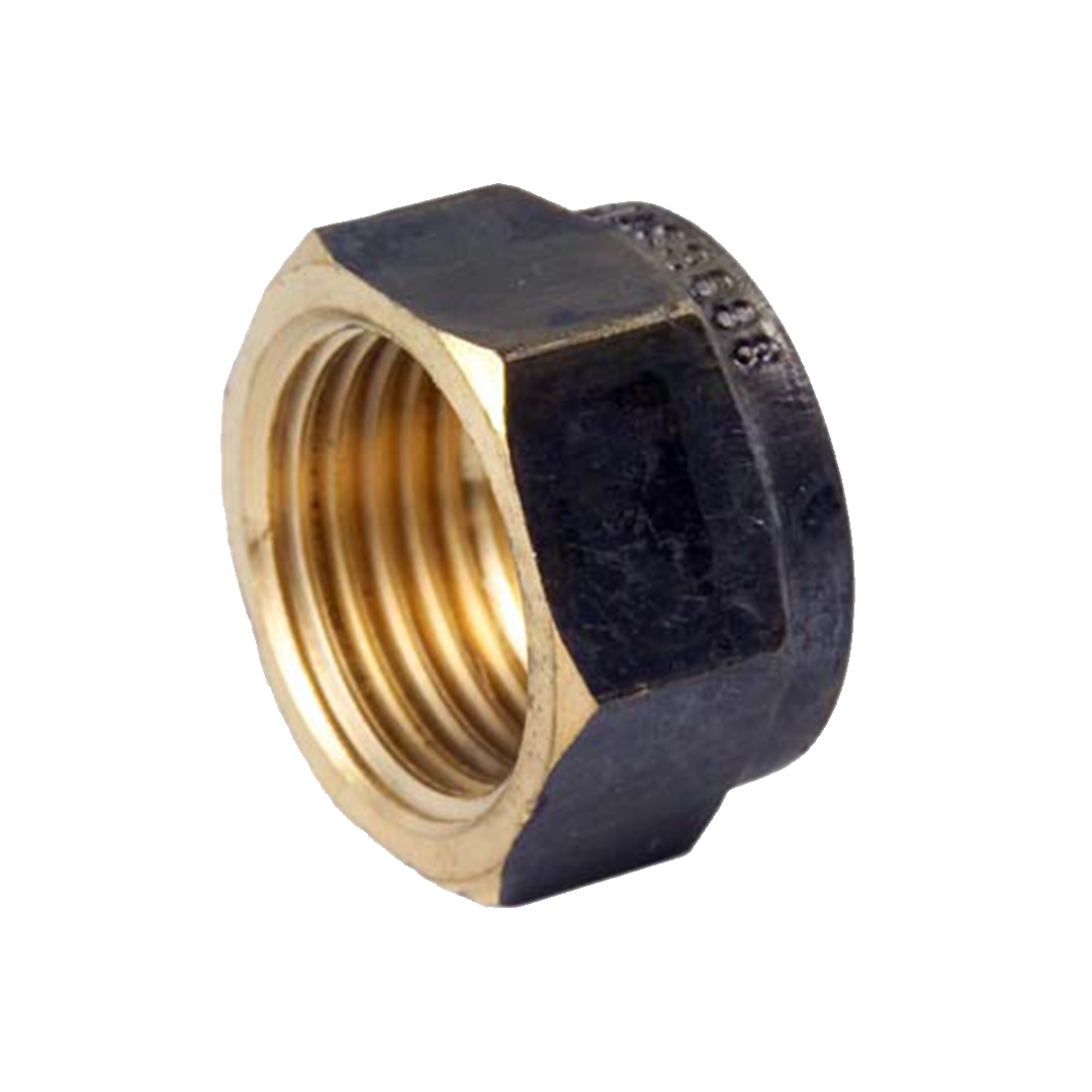 Hex Cap Screwed 15mm - Plumbers Choice